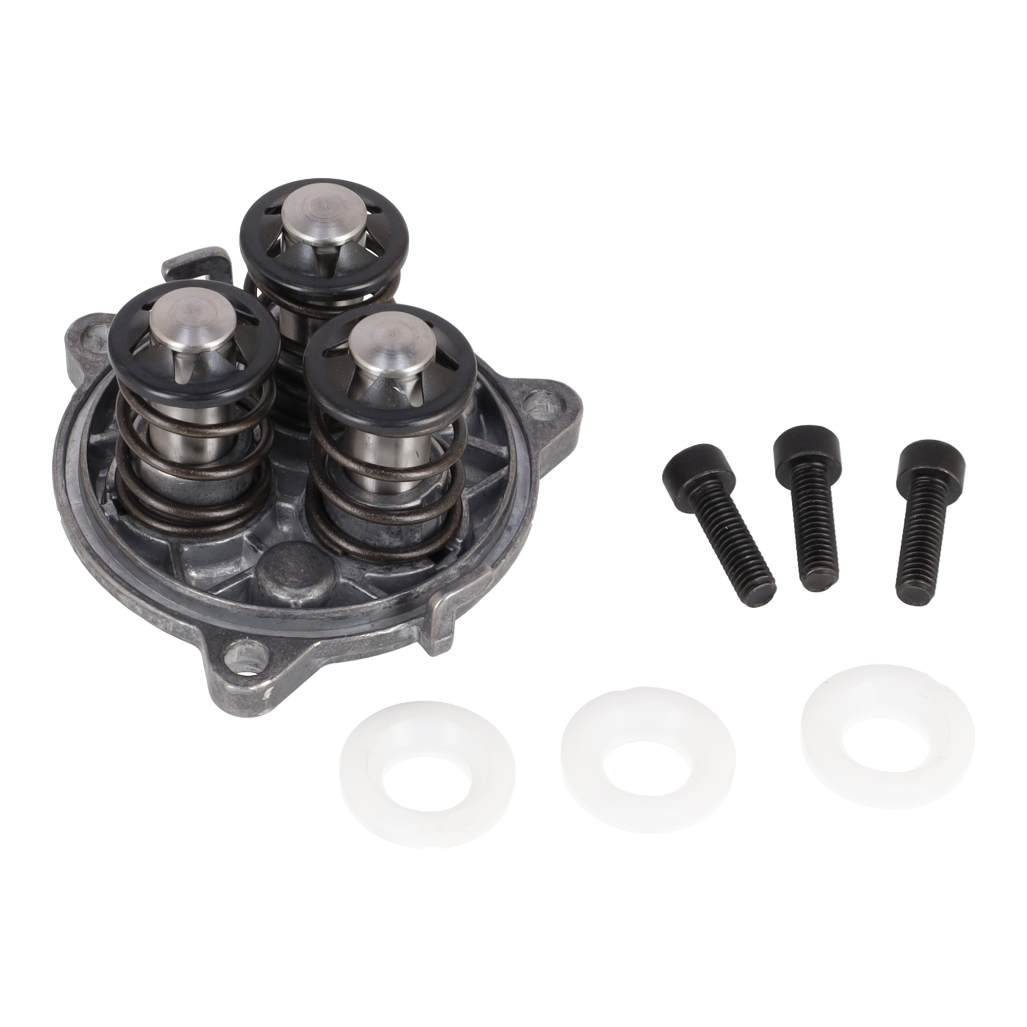 Bosch Pressure Washer Piston Guide - Part Number F016F04441